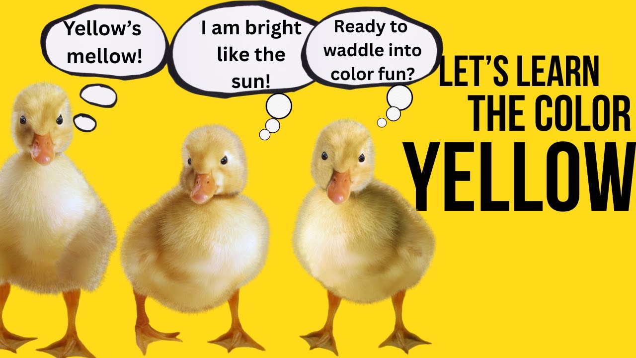 The Color Yellow Song | Fun & Educational Kids’ Learning Video! Sing ...