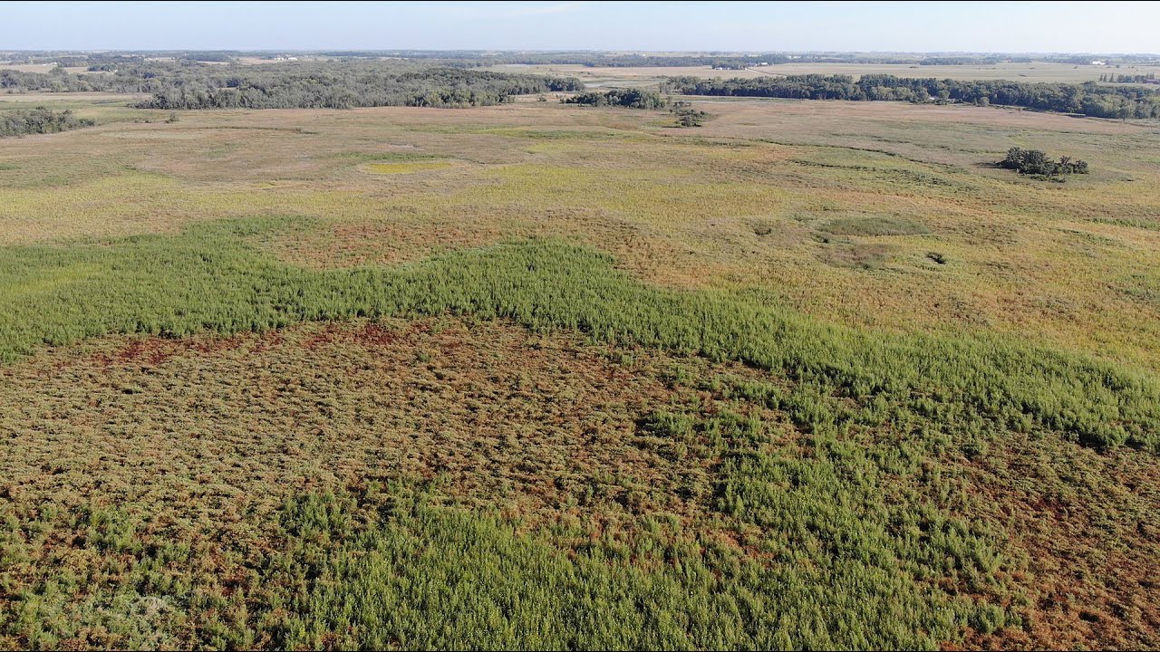 Marten's Lake Update at Sweet Marsh - YouTube