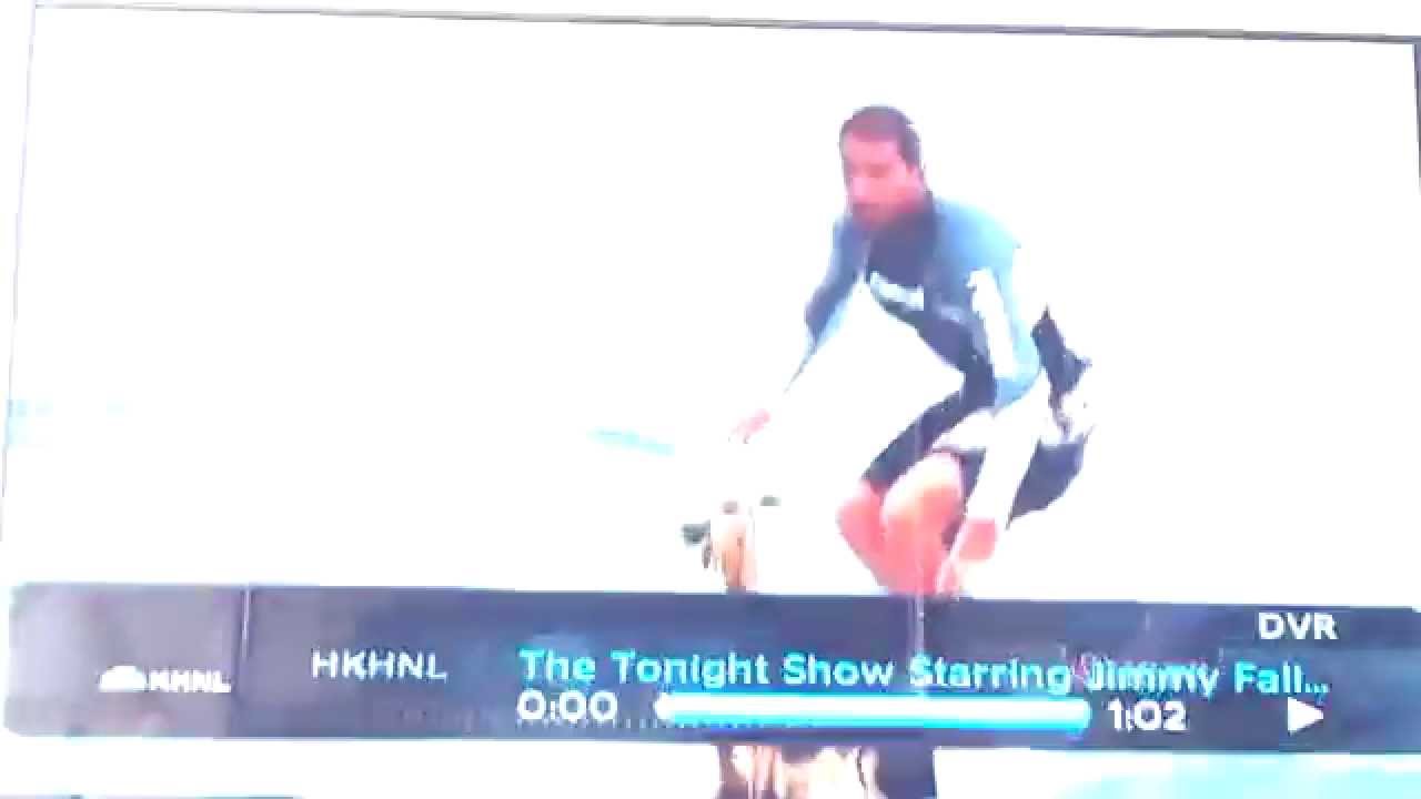 video clip - a LLAMA surfing in hawaii - sidneysealine - YouTube