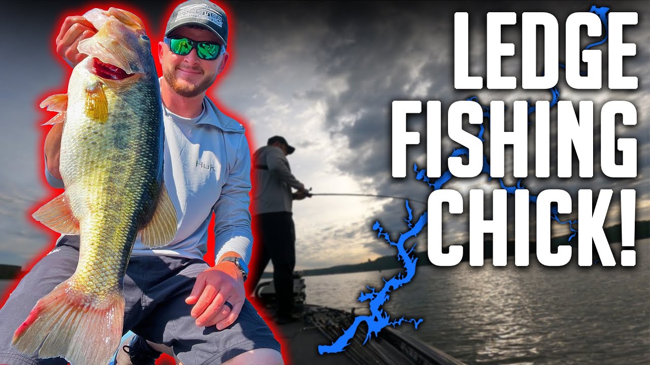 This is Why You Ledge Fish on Chickamauga Lake! - YouTube