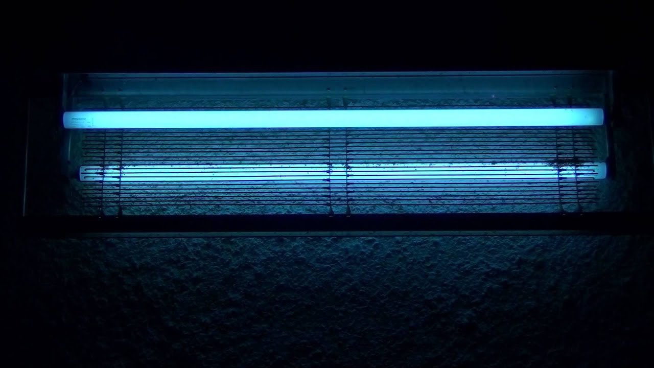 Gardner Products Insect Electrocutor - YouTube