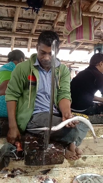 Bogo fish Cutting|Bogo fish cutting skills|Bogo fish Cutting kalkata ...
