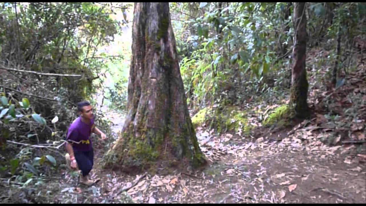 Desafio india 2015 la reencarnacion caracol fabio estrada - YouTube