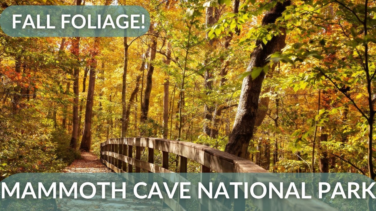 Hiking Amongst the Fall Foliage in Kentucky at Mammoth Cave National Park - YouTube
