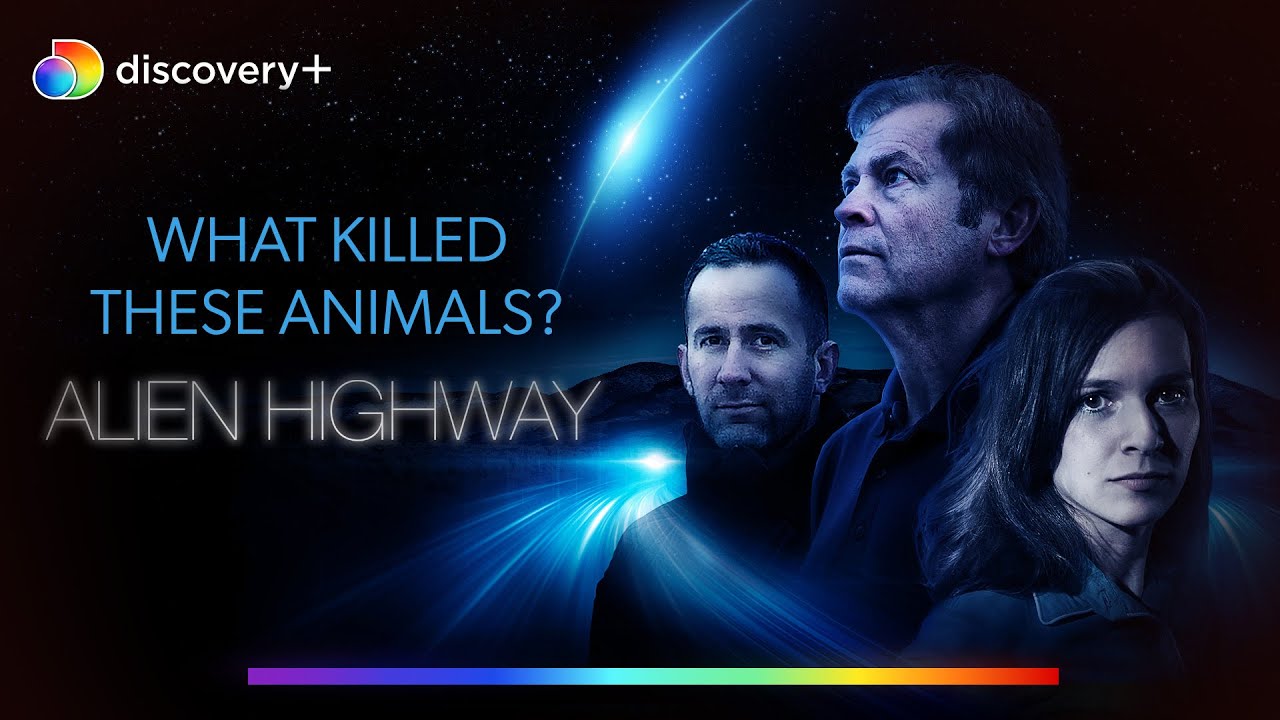 Operation animal mutilation l Alien Highway l discovery+ - YouTube