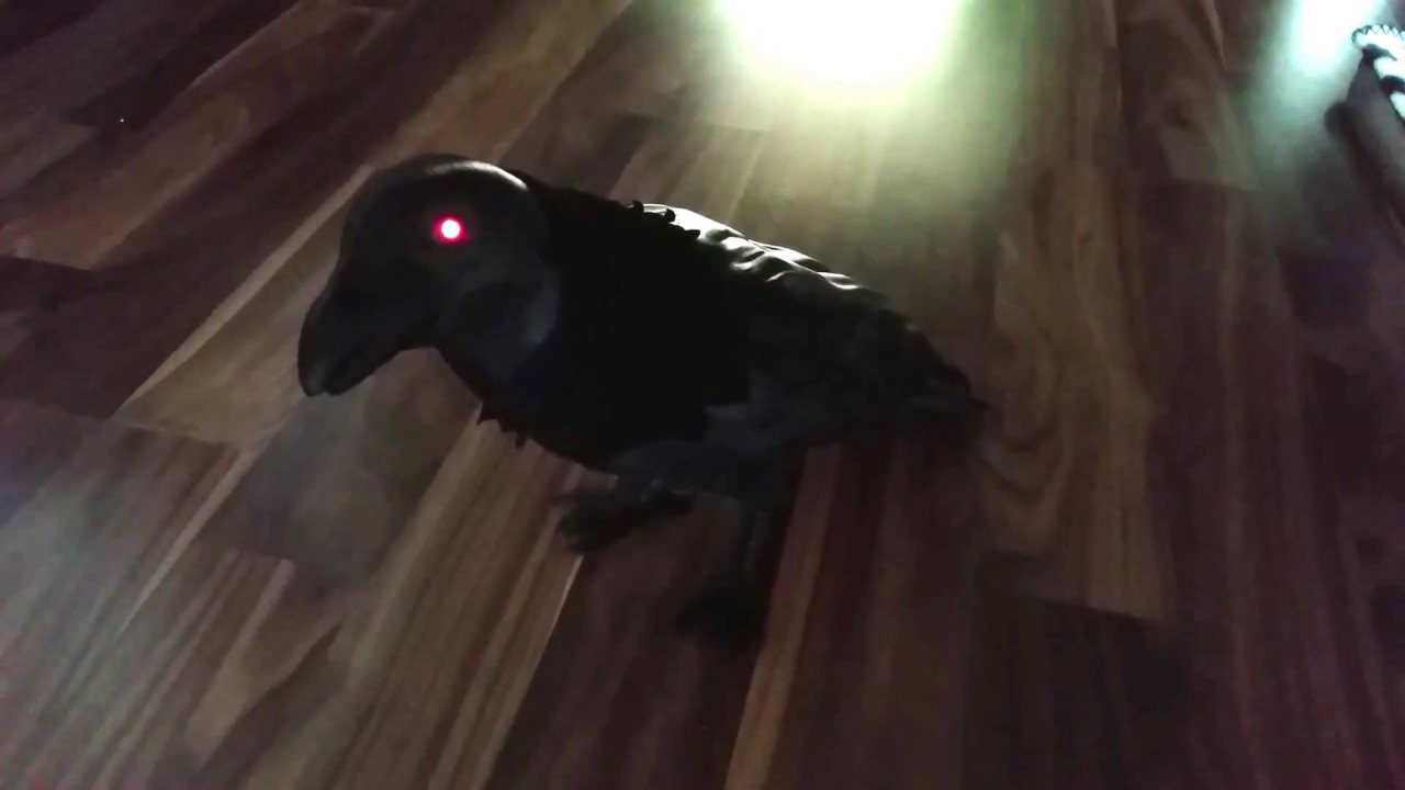 Arduino Animatronic Demon Crow - YouTube