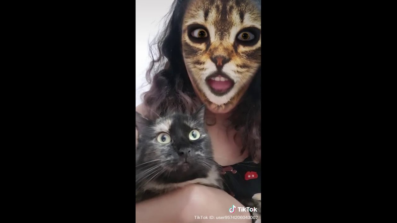 When pets meet cat filters - YouTube