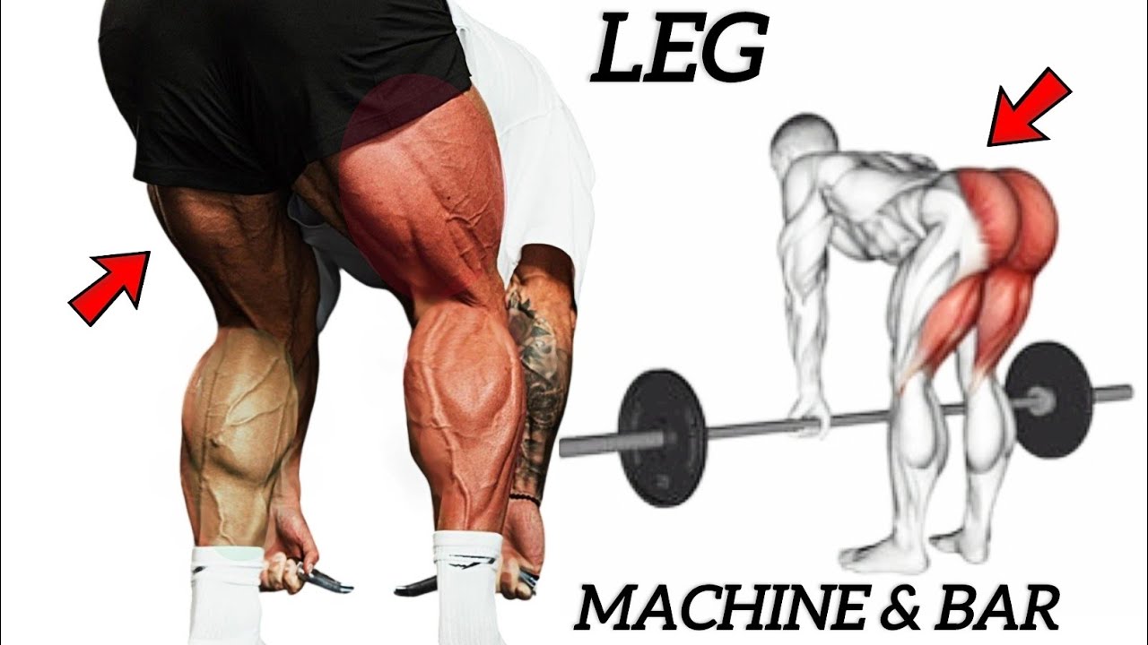 Top Best Leg Exercises To Build Big Leg Muscle | Leg Combination ...