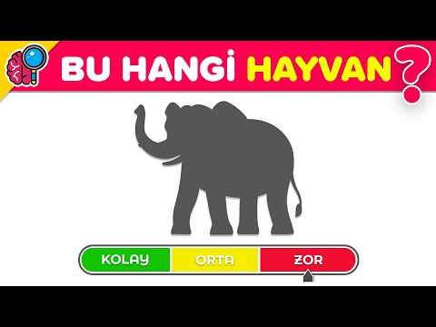 HAYVAN GÖLGE BULMACASI: Bu Hayvanların Kaçını TAHMİN Edebilirsin? 🧐| Kolay, Orta, Zor | Bul Bakalım