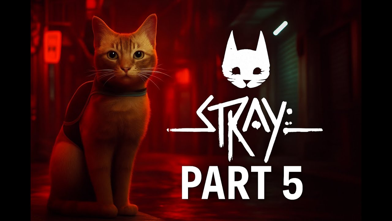 STRAY Part 5 | From the Subway Station to Blazer – Right Before the ...