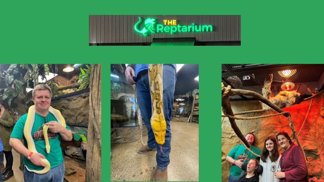 The Reptarium - YouTube