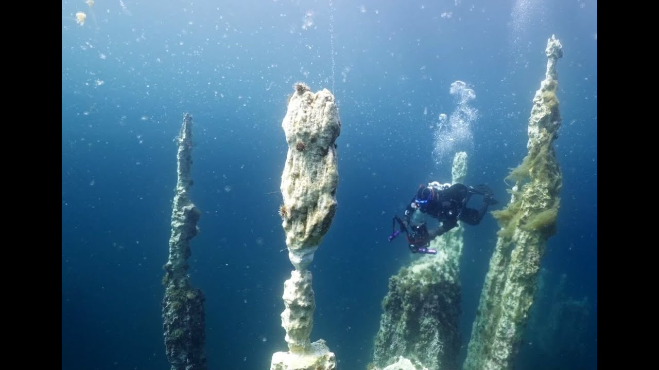 Diving Ikkafjord, Greenland, June 2024 - YouTube