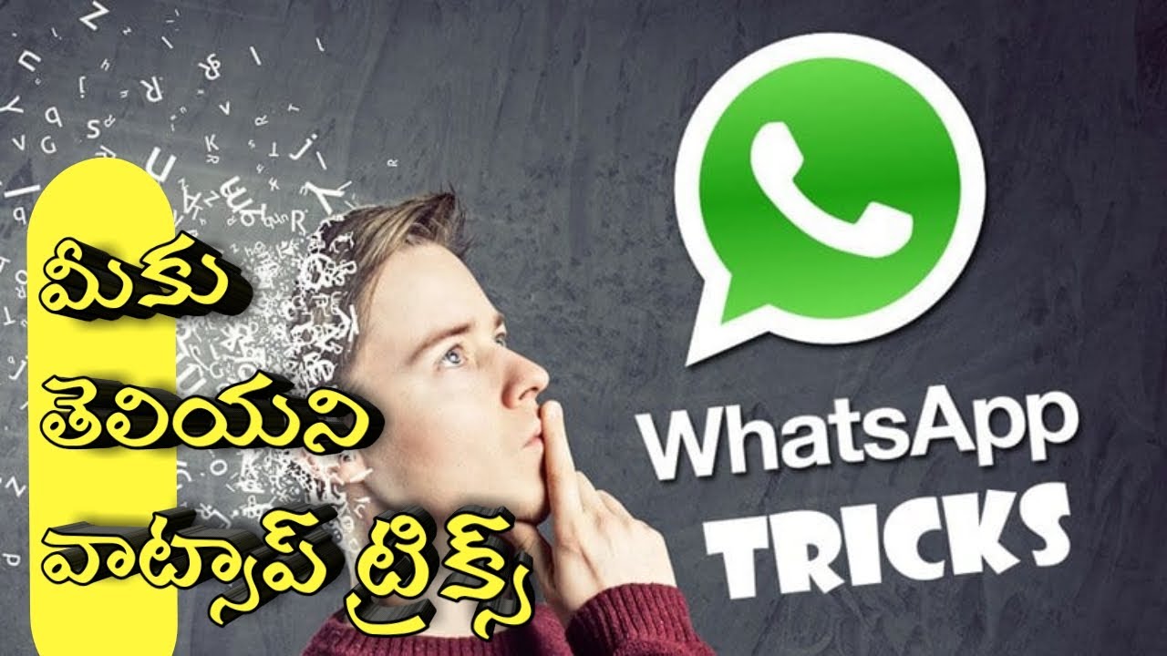How To Hide Someone Specific From Contacts In Whatsapp whatsapp how-to-hide-someone-specific-from-contacts-in-whatsapp-whatsapp