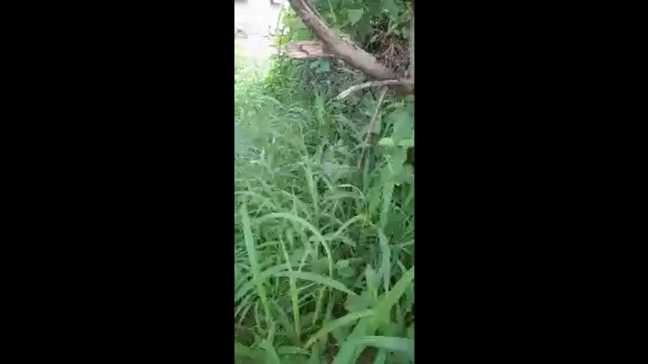 kal ap ke sat aur live aane vale hai Highlight 1:10 from Bhakti sagar is live @ bhaktisagar-12r ...