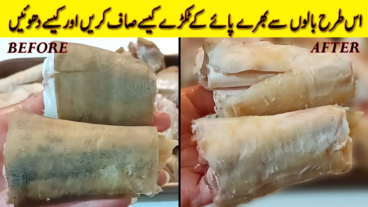 HOW TO REMOVE HAIRS FROM TROTTER | PAEY KAY BAAL SAAF KARNAY DHONAY KA ...