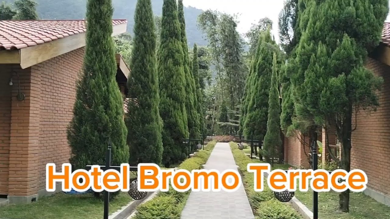 Review Hotel Bromo Terrace - YouTube
