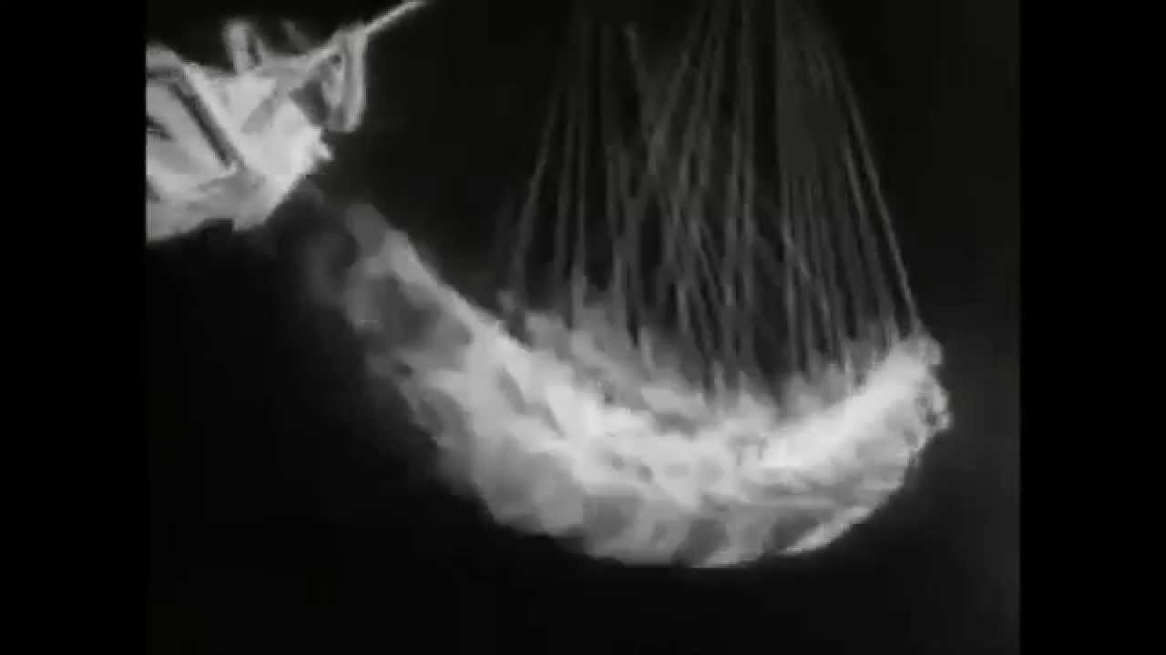 Trip Cult - Compendium Trailer - YouTube