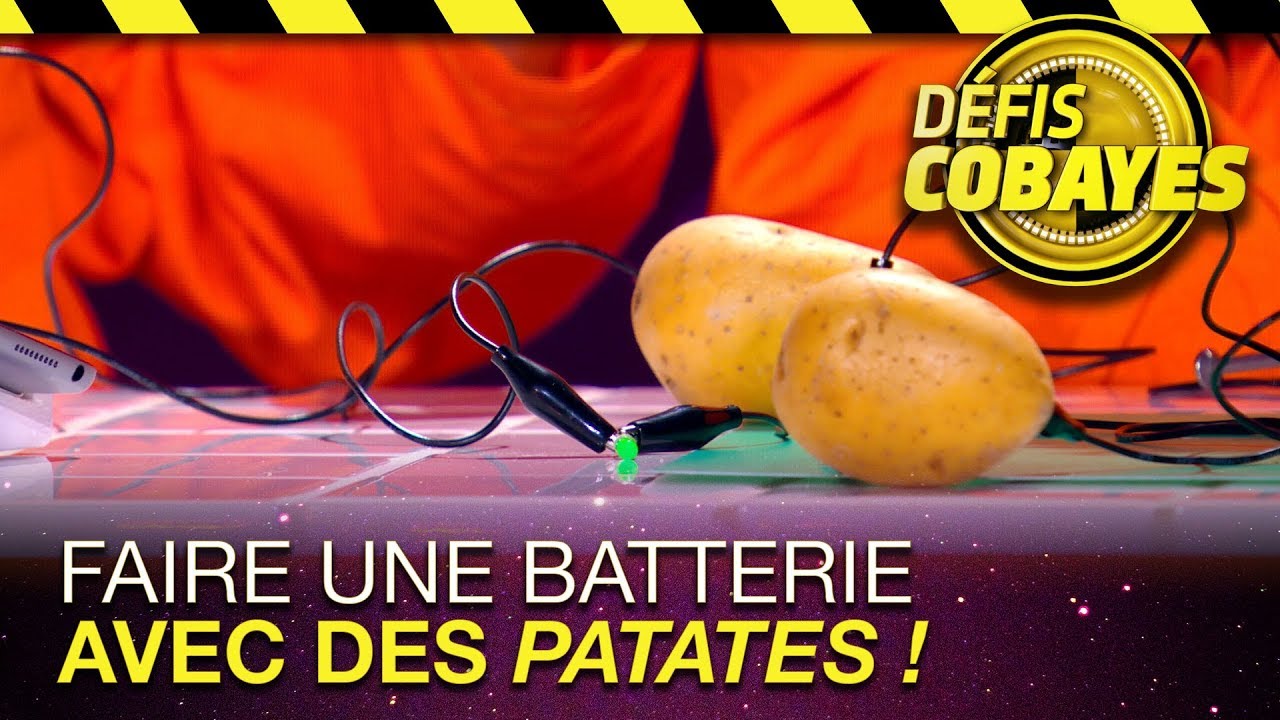 Faire une batterie avec des patates ! - Défis Cobayes - France 4 - YouTube