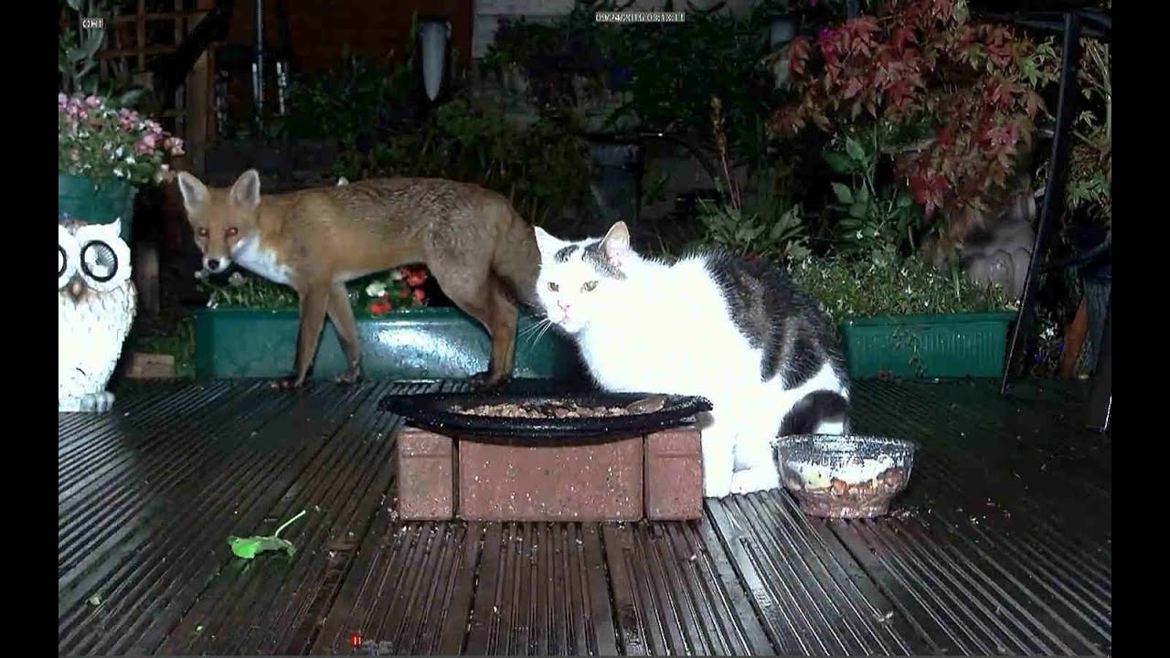 Old friends catch-up - YouTube