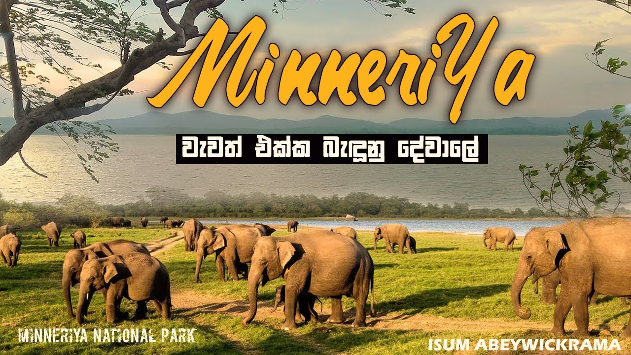 Minneriya - Lake SRILANKA 🇱🇰 | Minneriya Mahasen Dewalaya | Travel vlog ...