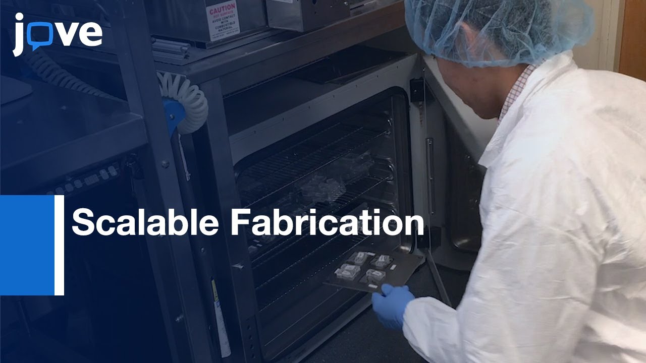 Scalable Fabrication Of Stretchable, Dual Channel, Microfluidic Organ ...