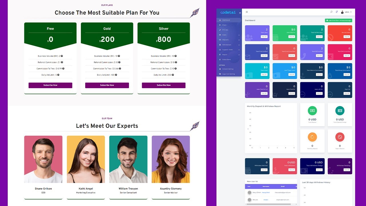 Let's Build Multilevel Binary PTC Platform Website With RevPTC Php Script Install Customization ...