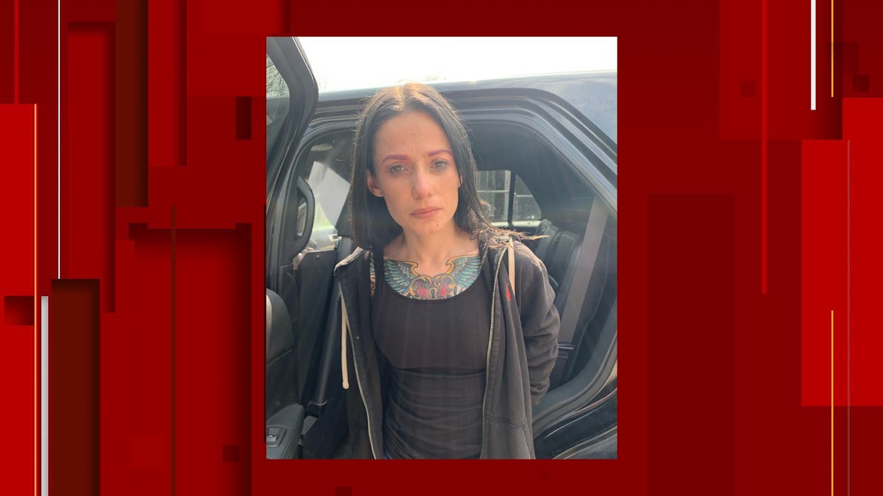 Second arrest made in deadly dog attack on West Side, officials say ...