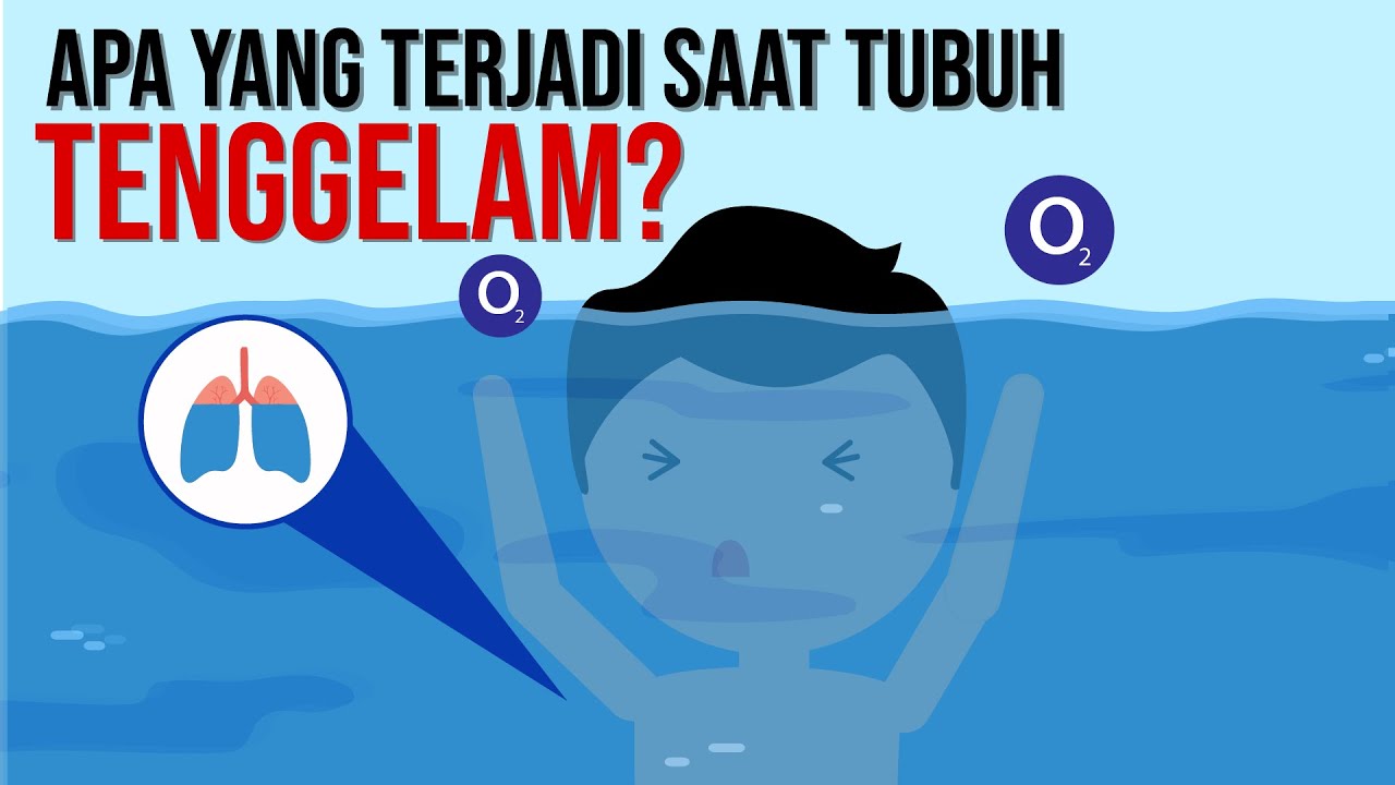 Apa Yang Terjadi Saat Tubuh Tenggelam? - YouTube