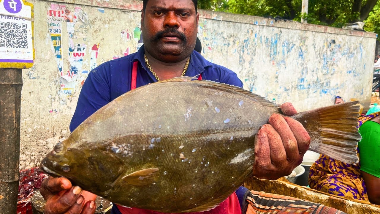 KASIMEDU SPEED SELVAM SOLE NAAKU FISH CUTTING VIDEO CUTTING FOCUS - YouTube