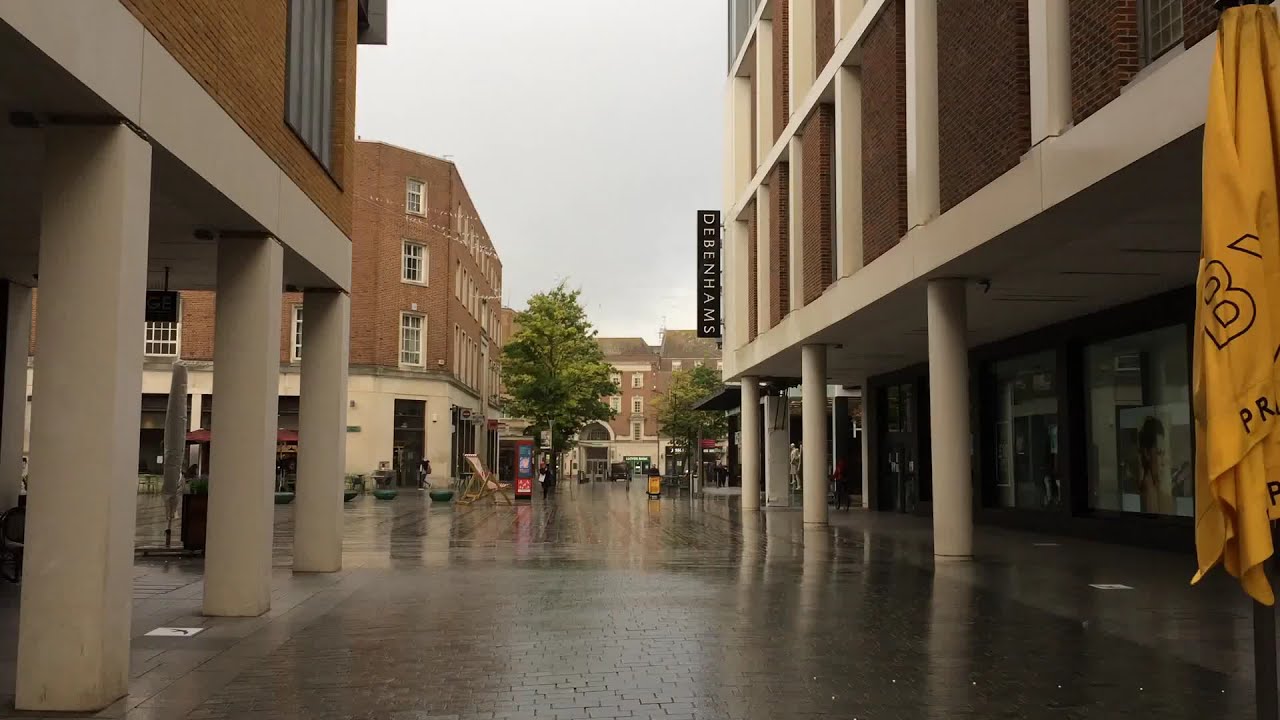 Pin oak (Quercus palustris) - trees in Princesshay, Exeter - September ...