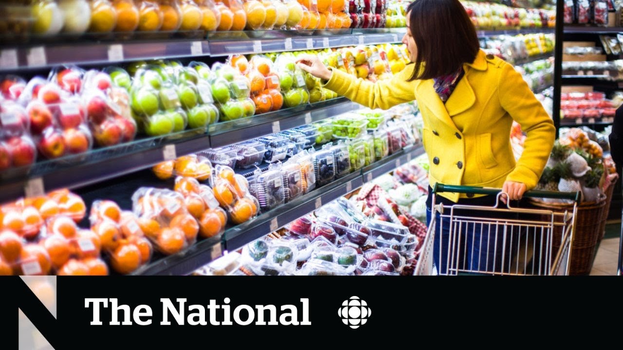 Competition Bureau to study rising grocery prices - YouTube