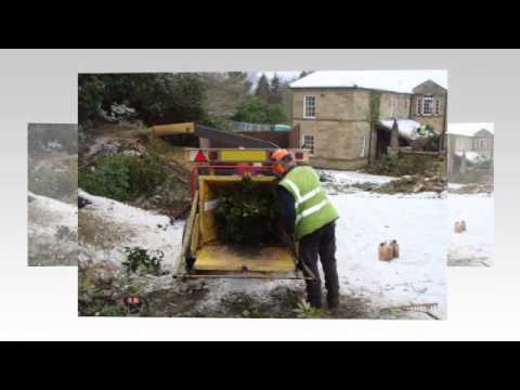 Tree Surgeons - Lewis Tree Surgery - YouTube