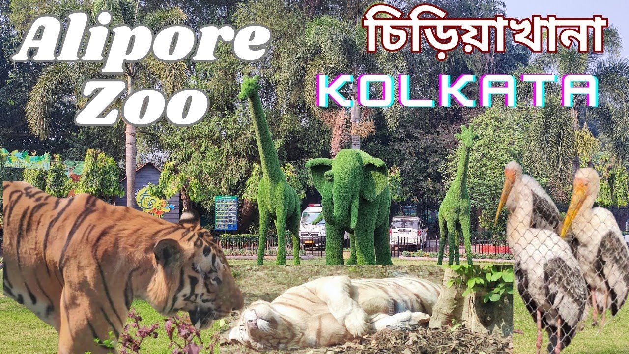 Alipore Zoo Kolkata 2023-24/Zoological Garden Alipore/আলিপুর ...