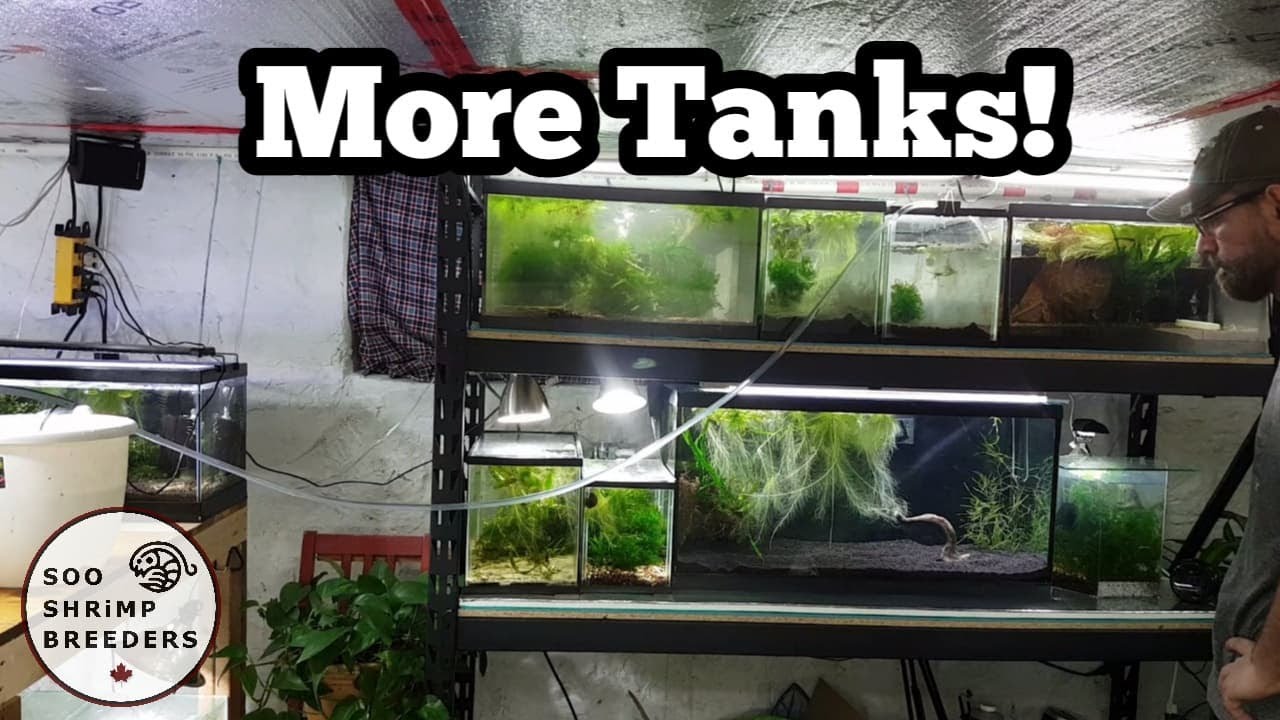 Moving and Setting Up Tanks! - YouTube