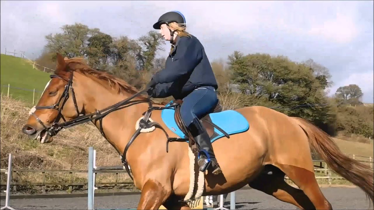 Training away at Upper Standen Farm with Chris Moyce - YouTube