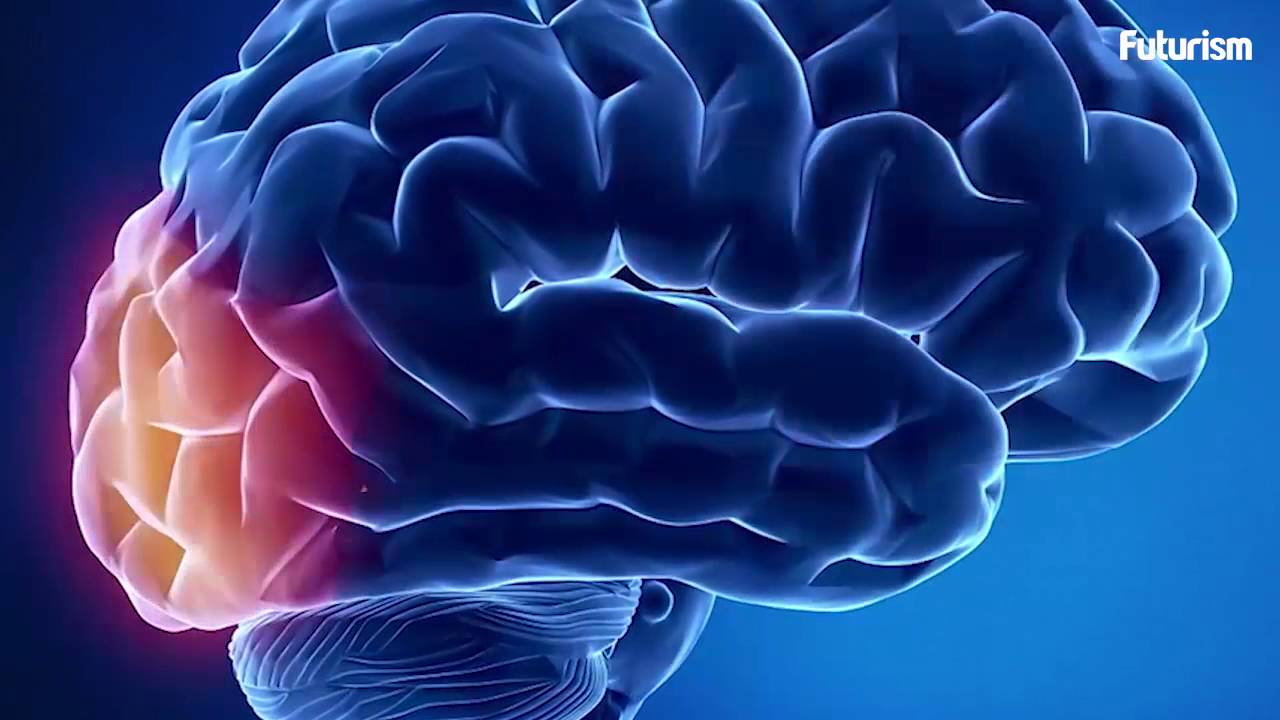 Soon You May Be Able To Upload Knowledge To Your Brain - YouTube