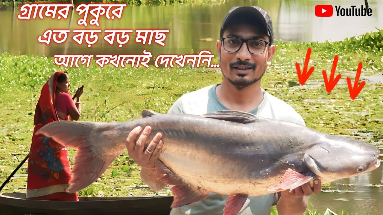 Big giant fish catching in the pond|Village Fishing video|Cat fish ...