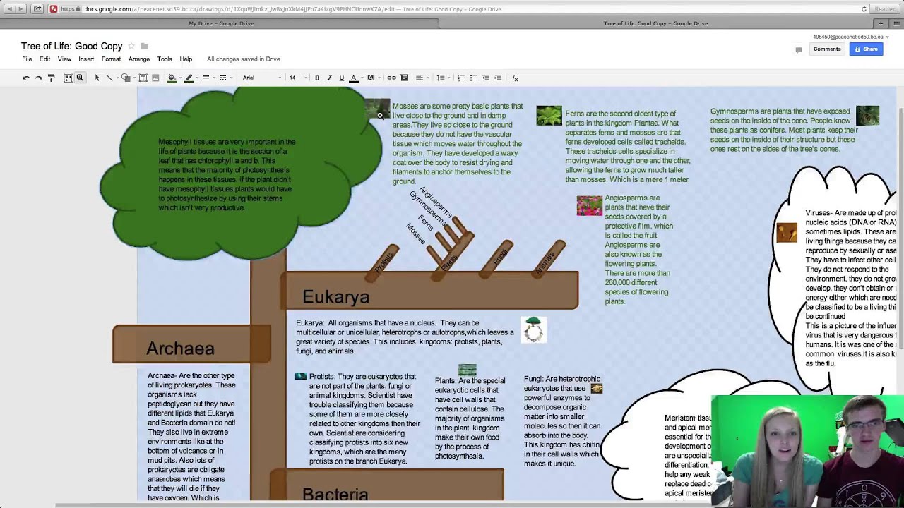 The Tree of Life: Biology 11 project - YouTube