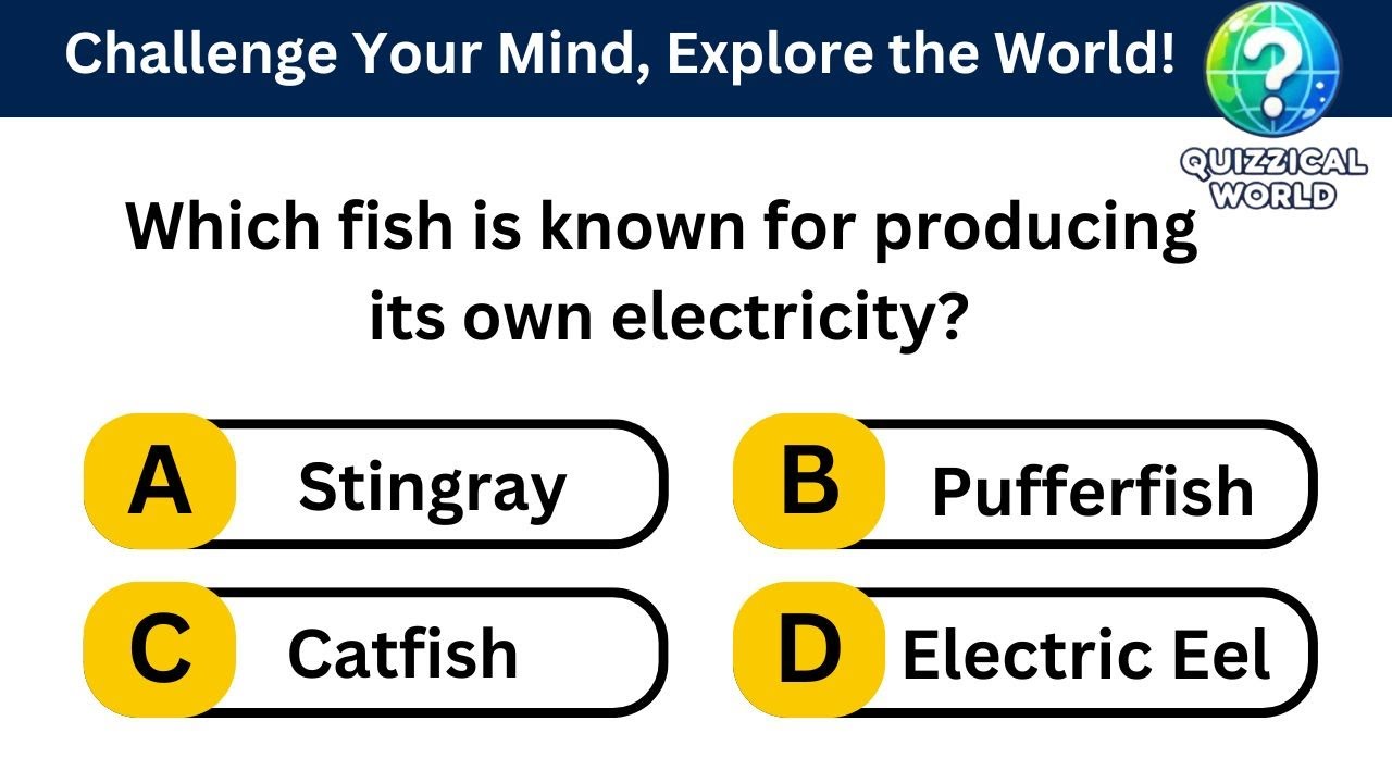 Amazing Facts Quiz – 10 Intriguing Questions to Test Your Knowledge ...