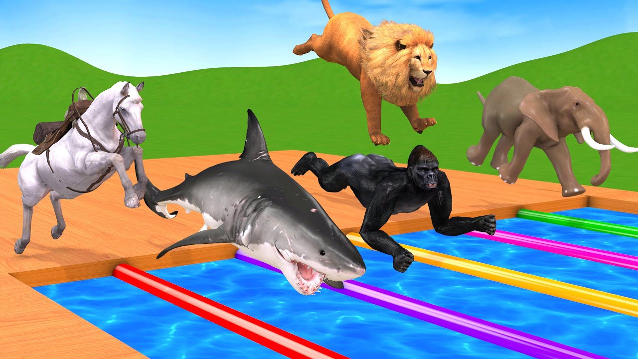 Animals Swimming Pool Race : Elephant, Gorilla, Lion, Shark, Horse ...