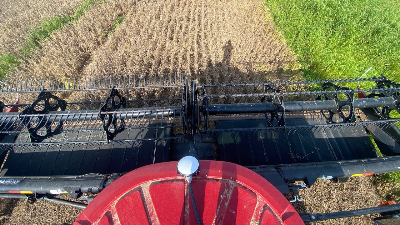 A Shocking Way to Start Harvest - YouTube