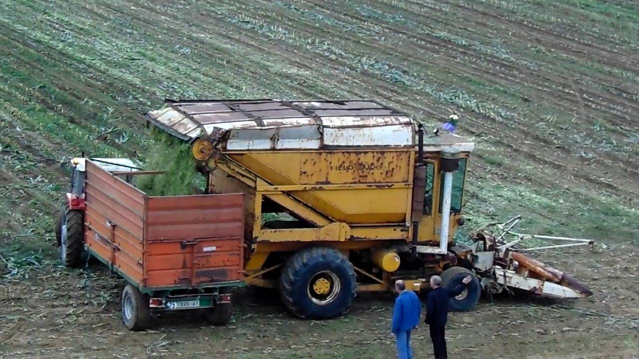 vidange de la field queen - YouTube