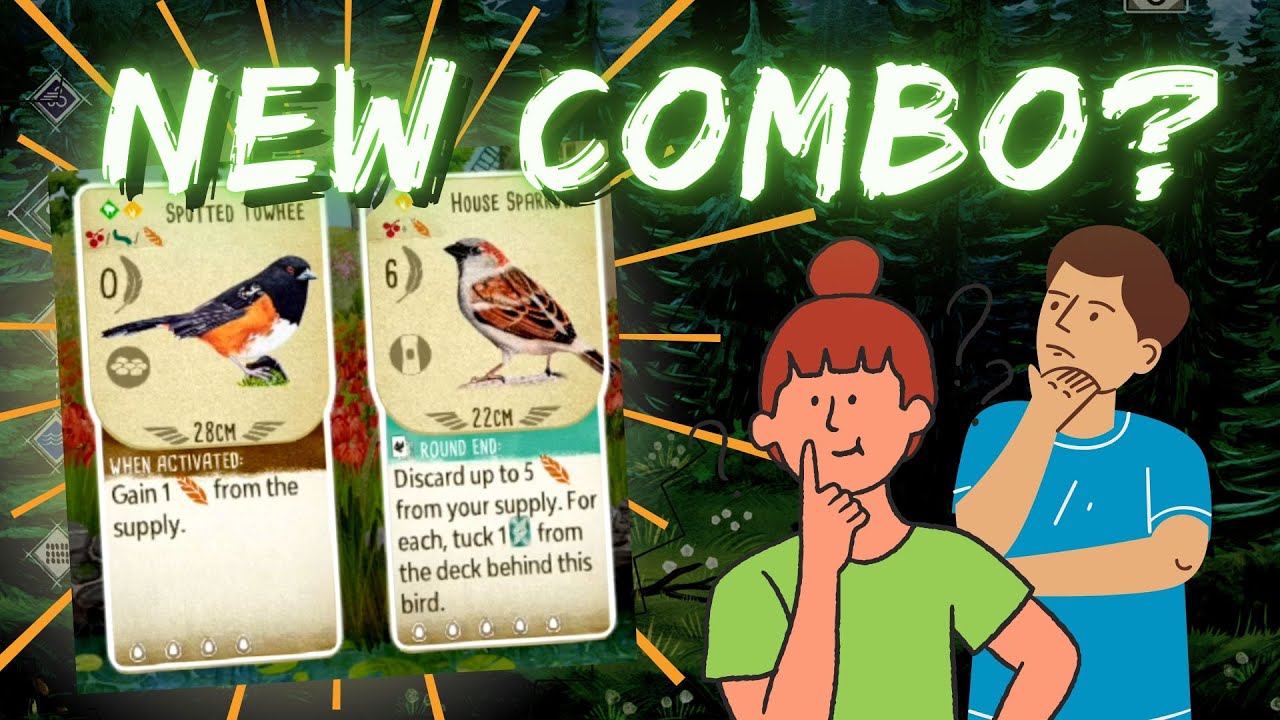 Wingspan Gameplay | tuck & cache strategy - YouTube