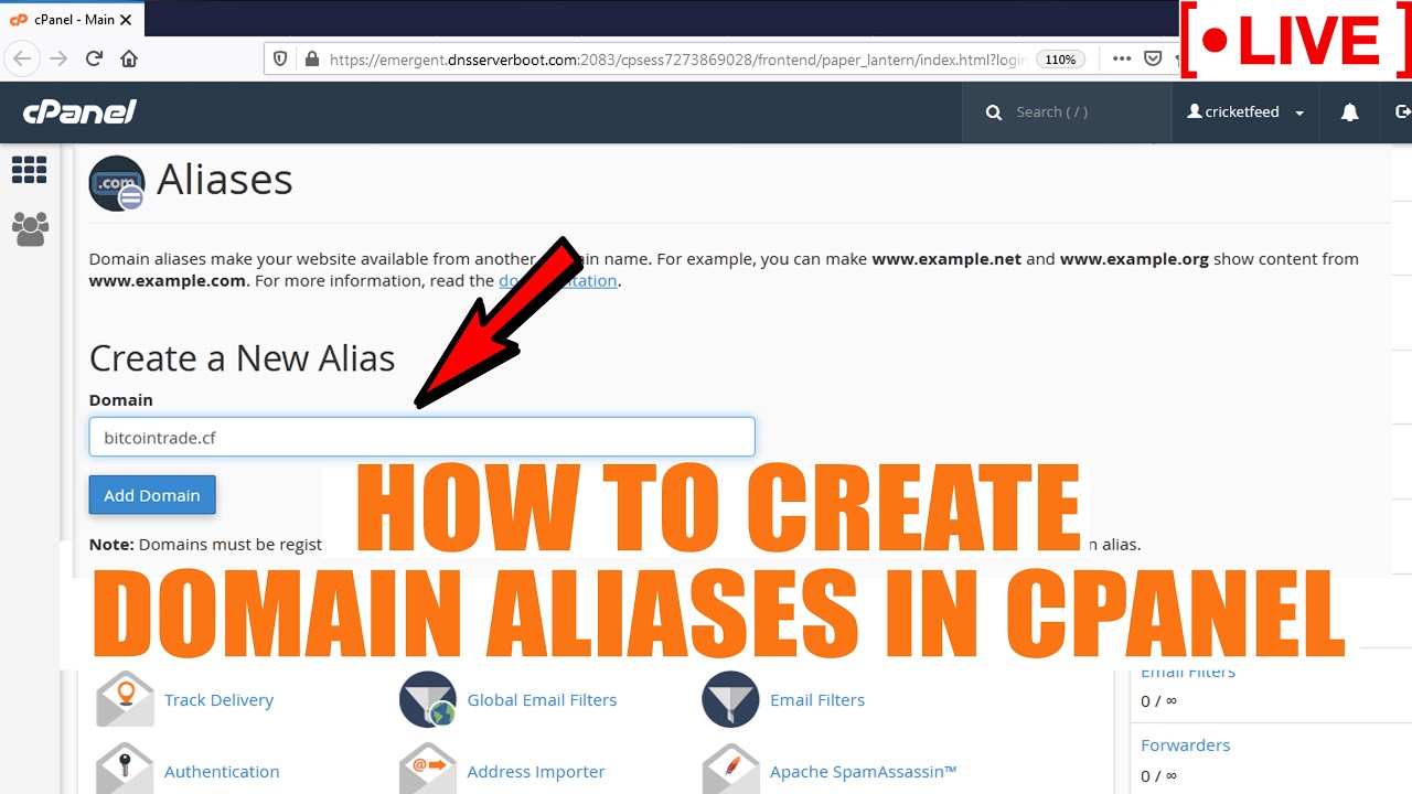 [🔴LIVE] How to create a domain Alias in cPanel? - YouTube