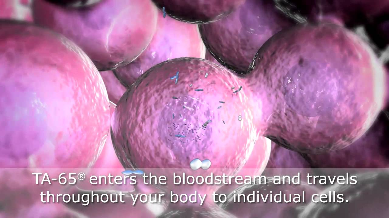 Telomeres, Telomerase Activation, and TA-65 - YouTube