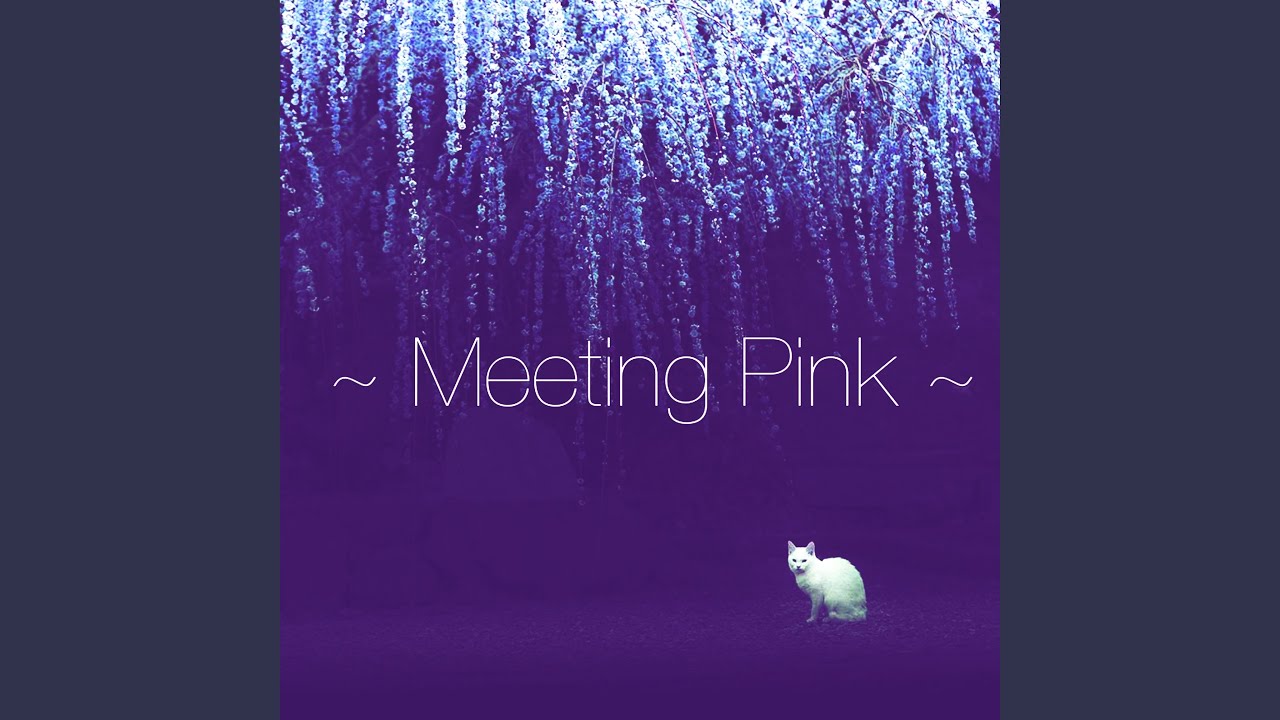 Meeting Pink - YouTube