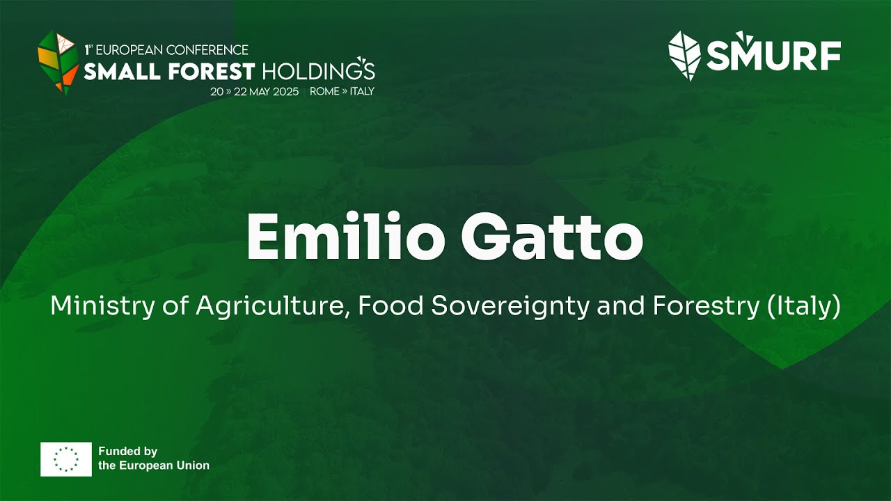 1st Conference Small Forest Holdings - Emilio Gatto - YouTube