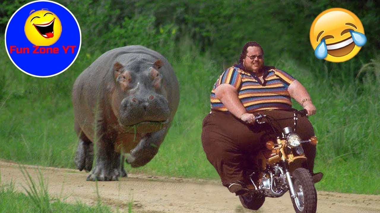 funny fails compilation😂 TRY NOT TO LAUGH 😆 Best Funny Videos ...