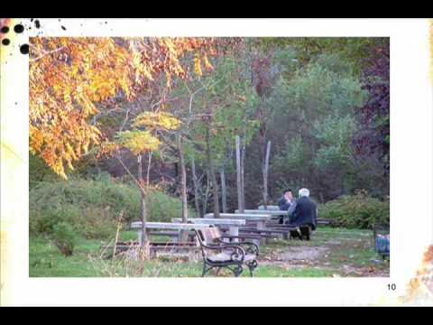 Free Photography Lessons, Part 2: Composition - YouTube