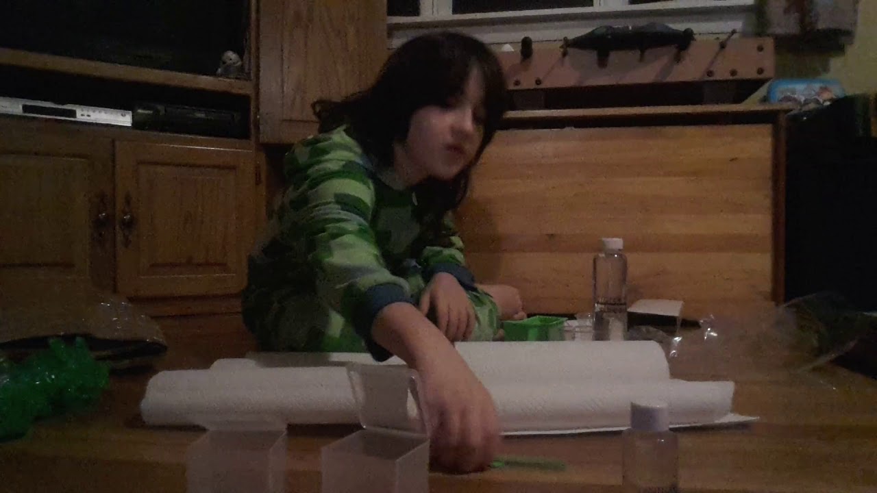 Making and reviewing minecraft slime kit (with bon bon) - YouTube